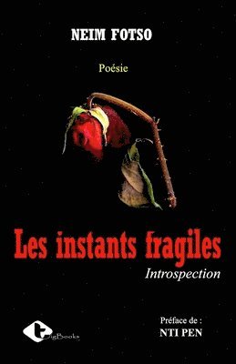 Les Instants Fragiles - Neim Fotso, Neim Fotso - Häftad (9789956098385 ...