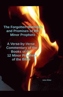 Forgotten Warnings and Promises of the Minor Prophets A Verse-by-Verse ...