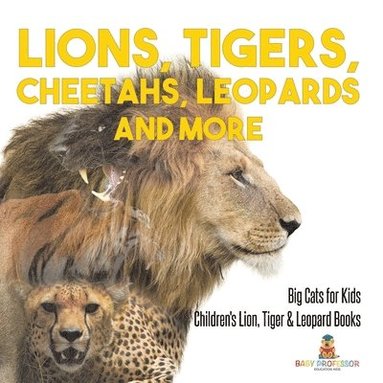 Lions, Tigers, Cheetahs, Leopards and More Big Cats for Kids Children's ...