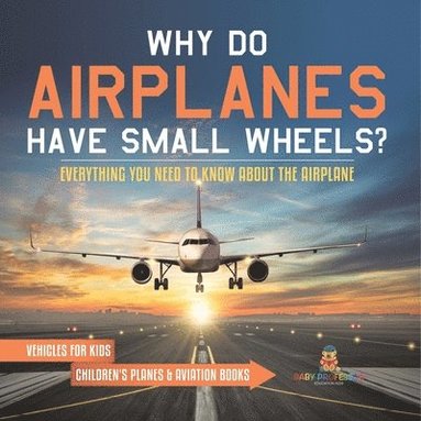 Why Do Airplanes Have Small Wheels? Everything You Need to Know About ...