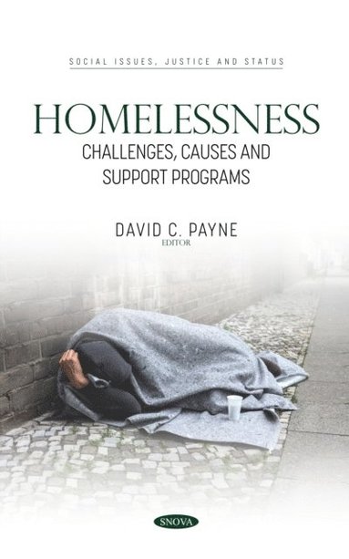 Homelessness: Challenges, Causes and Support Programs - Ebok - David C ...