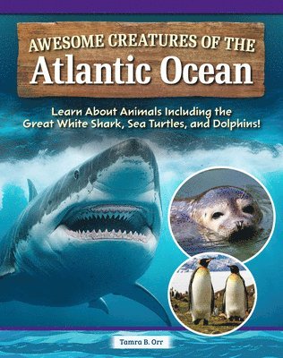 Awesome Creatures of the Atlantic Ocean: Learn about Animals Including ...