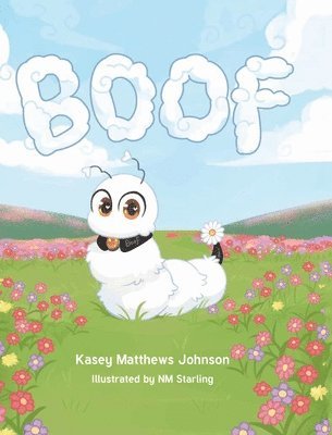 Boof - Kasey Matthews Johnson - Bok (9798894272139) | Bokus