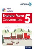 Numicon: Number, Pattern and Calculating 1 Explore More Copymasters ...
