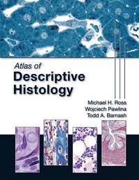 Histology: A Text and Atlas - Michael H Ross, Wojciech Pawlina - Häftad ...